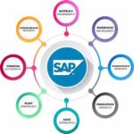 SAP VMS